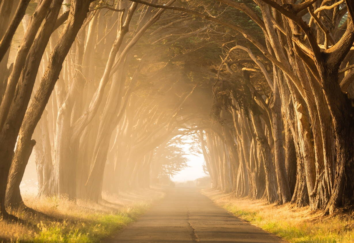 Why We Keep Torah - Segullah